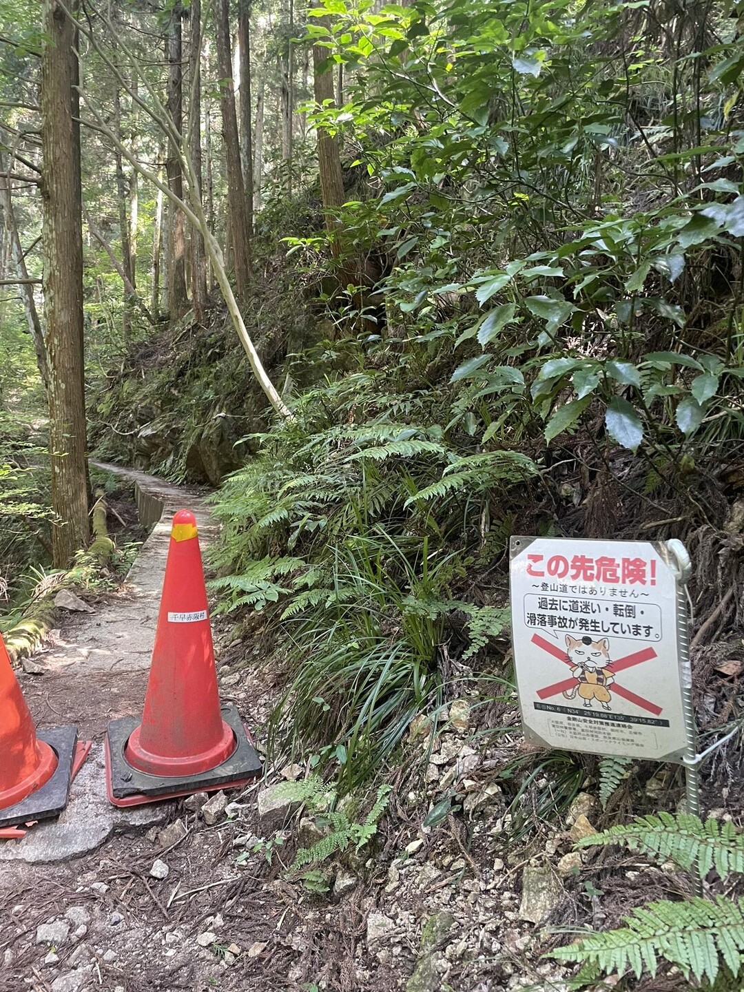 金剛山(行き ツヅジオ谷ルート、帰り 千早本道) / HERO Monkeyさんの金剛山・二上山・大和葛城山の活動データ | YAMAP / ヤマップ