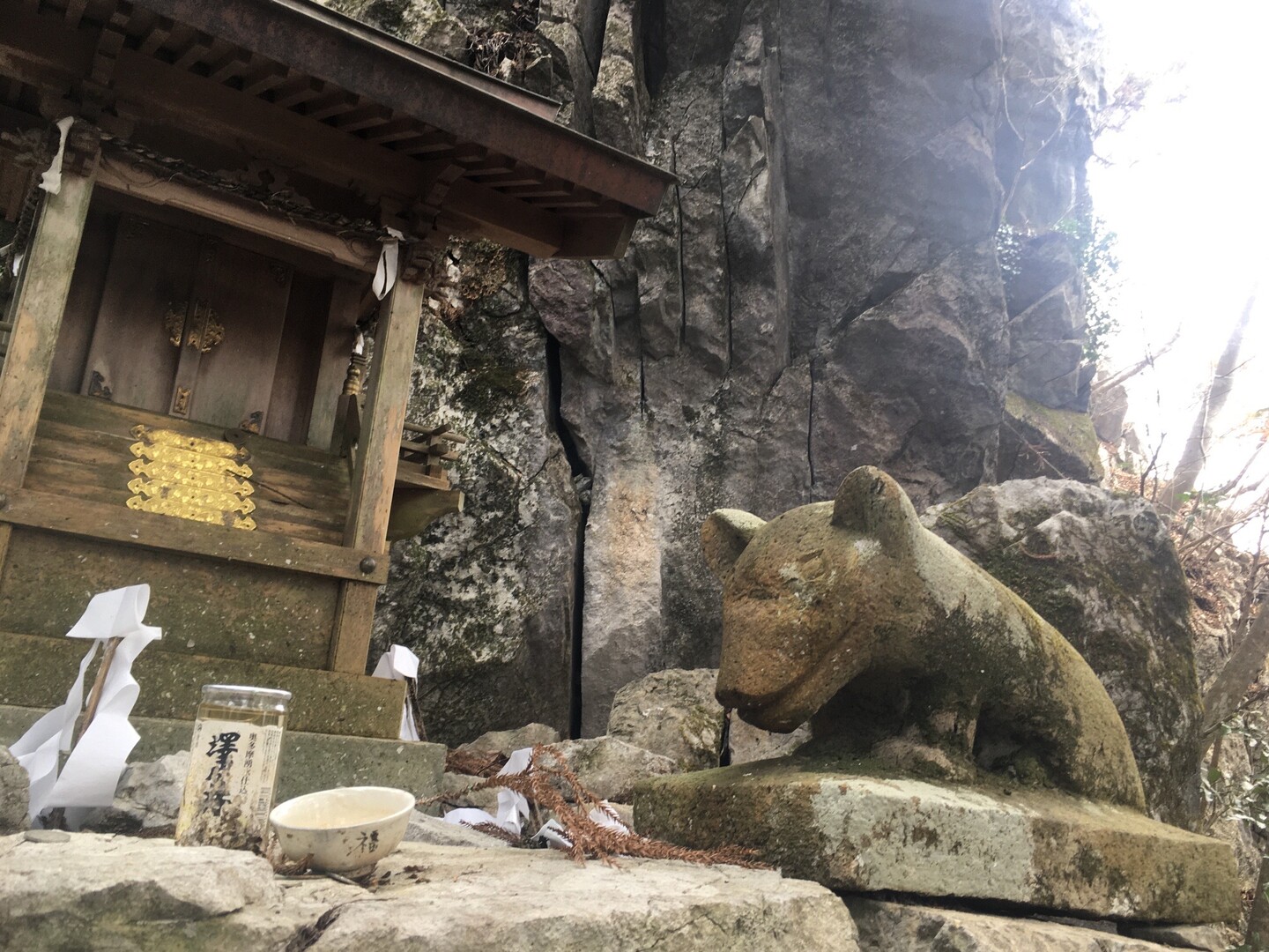 one day 大口真神 challenge / fumさんの大岳山・御岳山・御前山の活動データ | YAMAP / ヤマップ