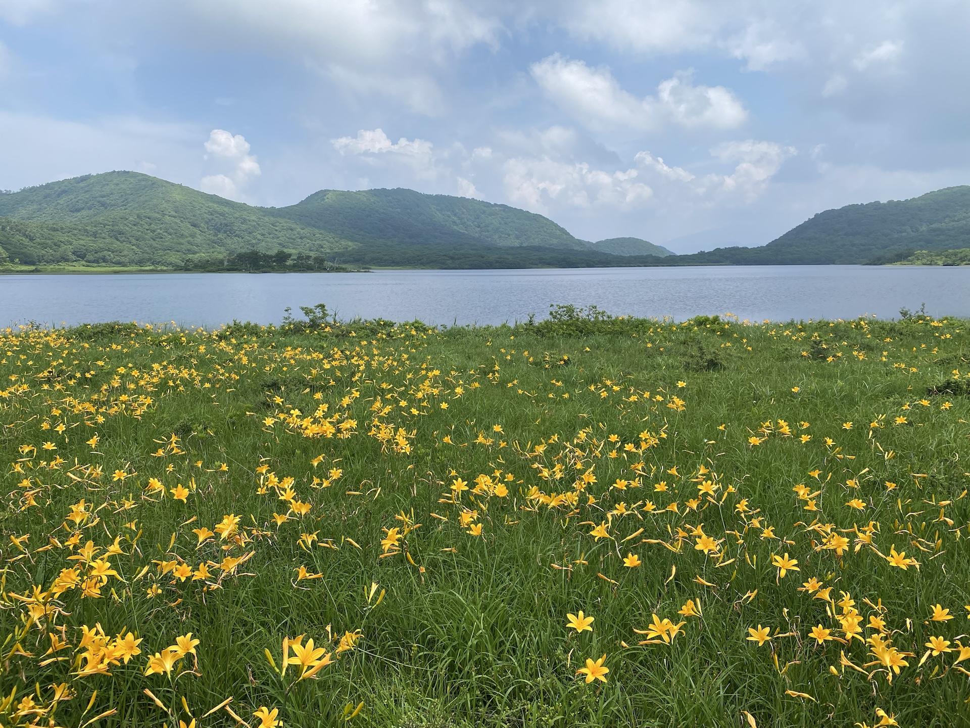 雄国沼 / mokaさんの磐梯山・雄国山・赤埴山の活動日記 | YAMAP / ヤマップ