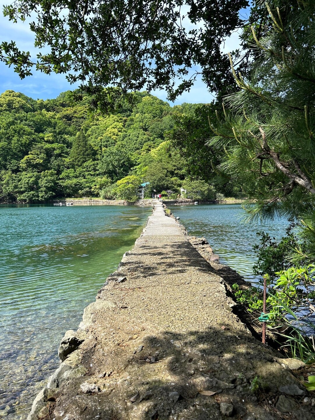 遠見山 / yunさんの九州オルレ・さいき・大入島コースの活動データ | YAMAP / ヤマップ