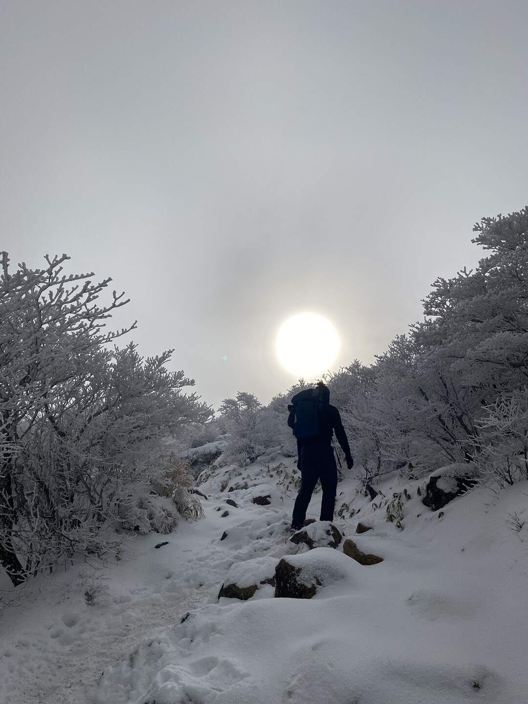 沓掛山・天狗ヶ城・中岳 / Utahさんの九重山（久住山）・大船山・星生山の活動データ | YAMAP / ヤマップ
