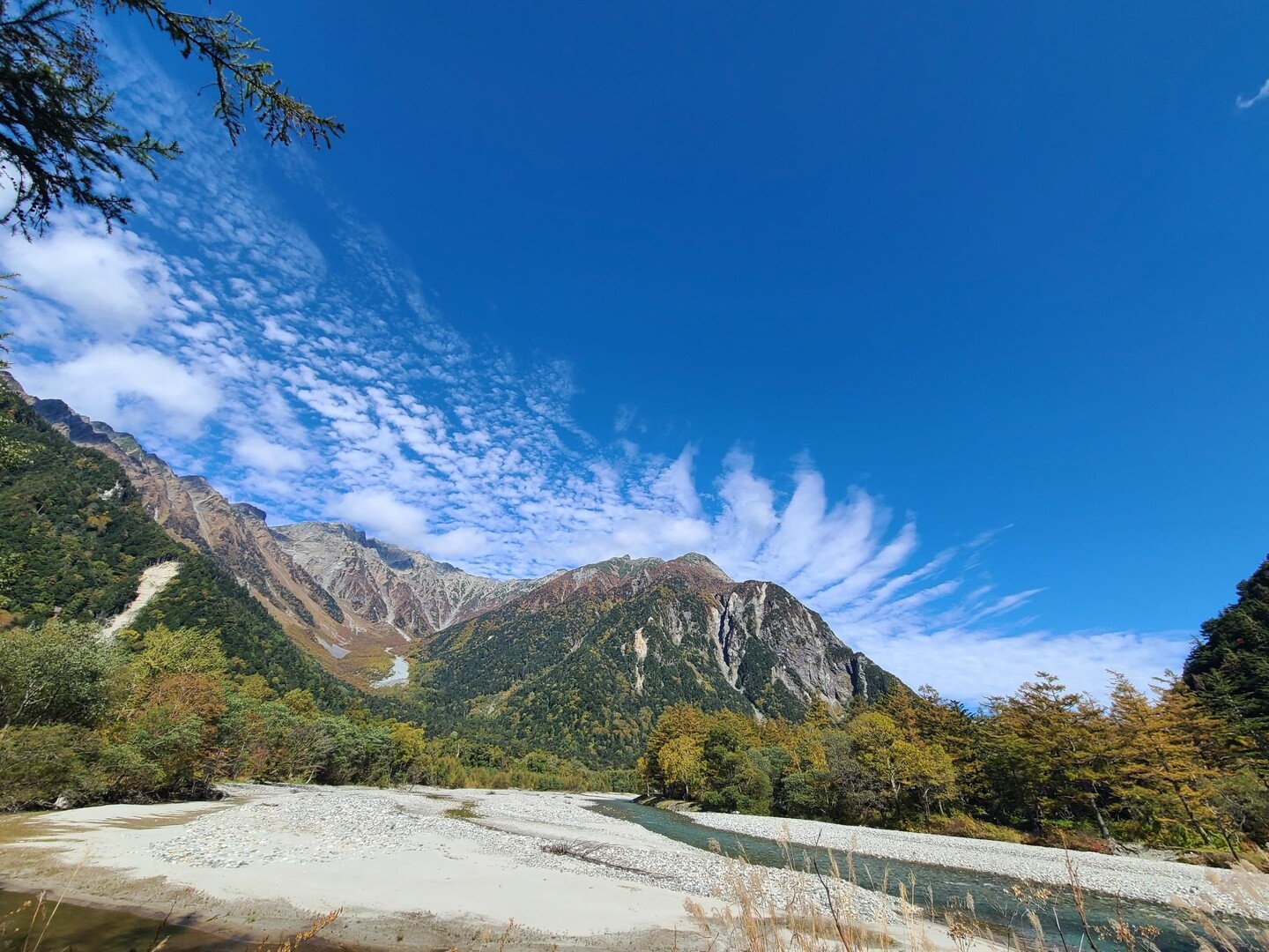 うめさんさんの投稿したフィールドメモ | YAMAP / ヤマップ