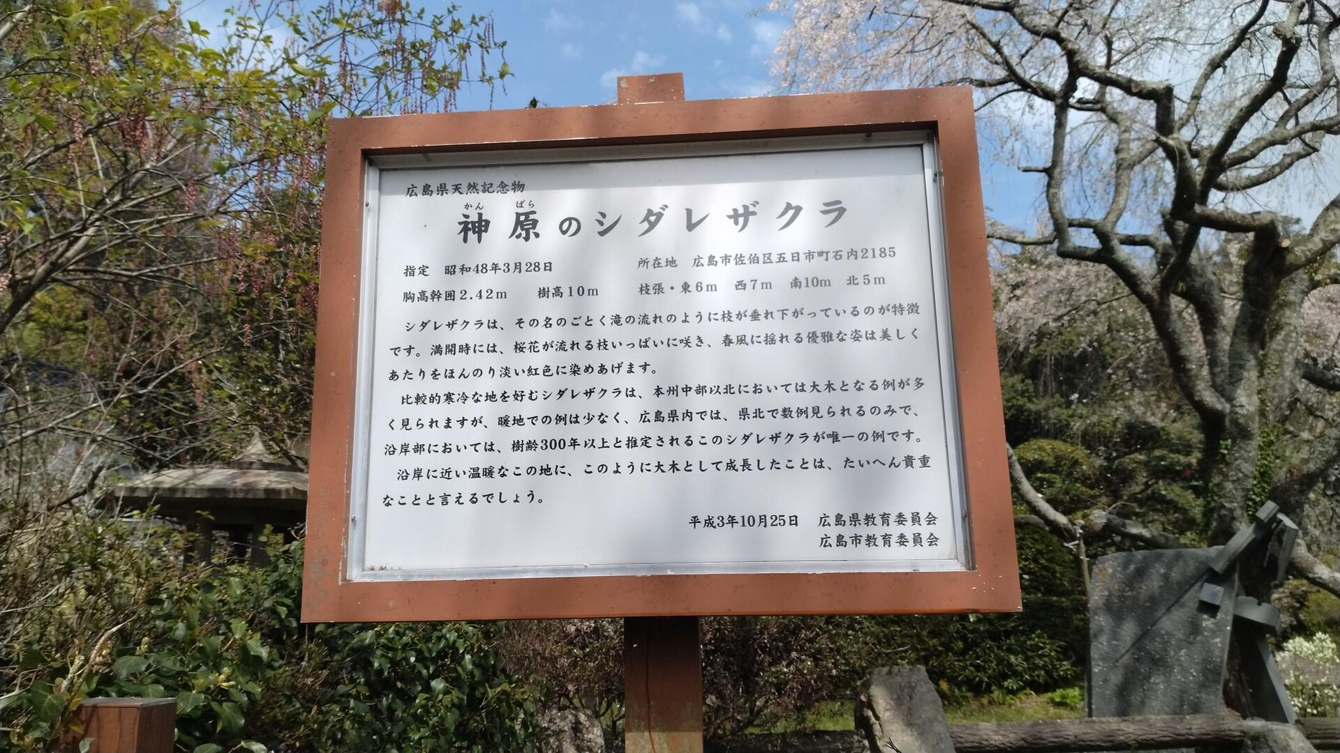 宮島一周の予定でしたが多忙を極めて体力に... / Y、ODさんのモーメント | YAMAP / ヤマップ