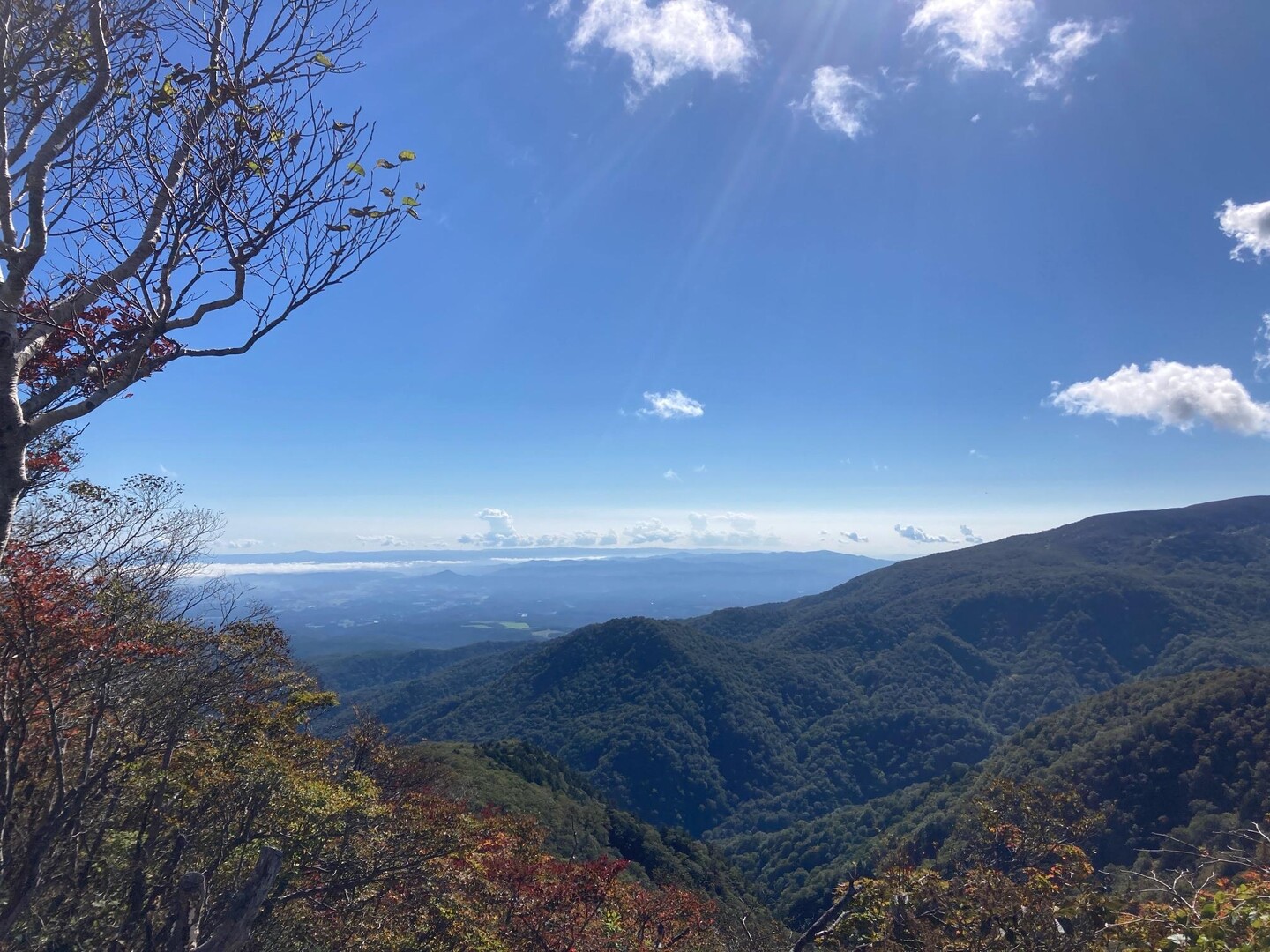 猿ヶ鼻・甲子山 / CIVIC Tyep-Rさんの二岐山・大白森山・小白森山の活動データ | YAMAP / ヤマップ