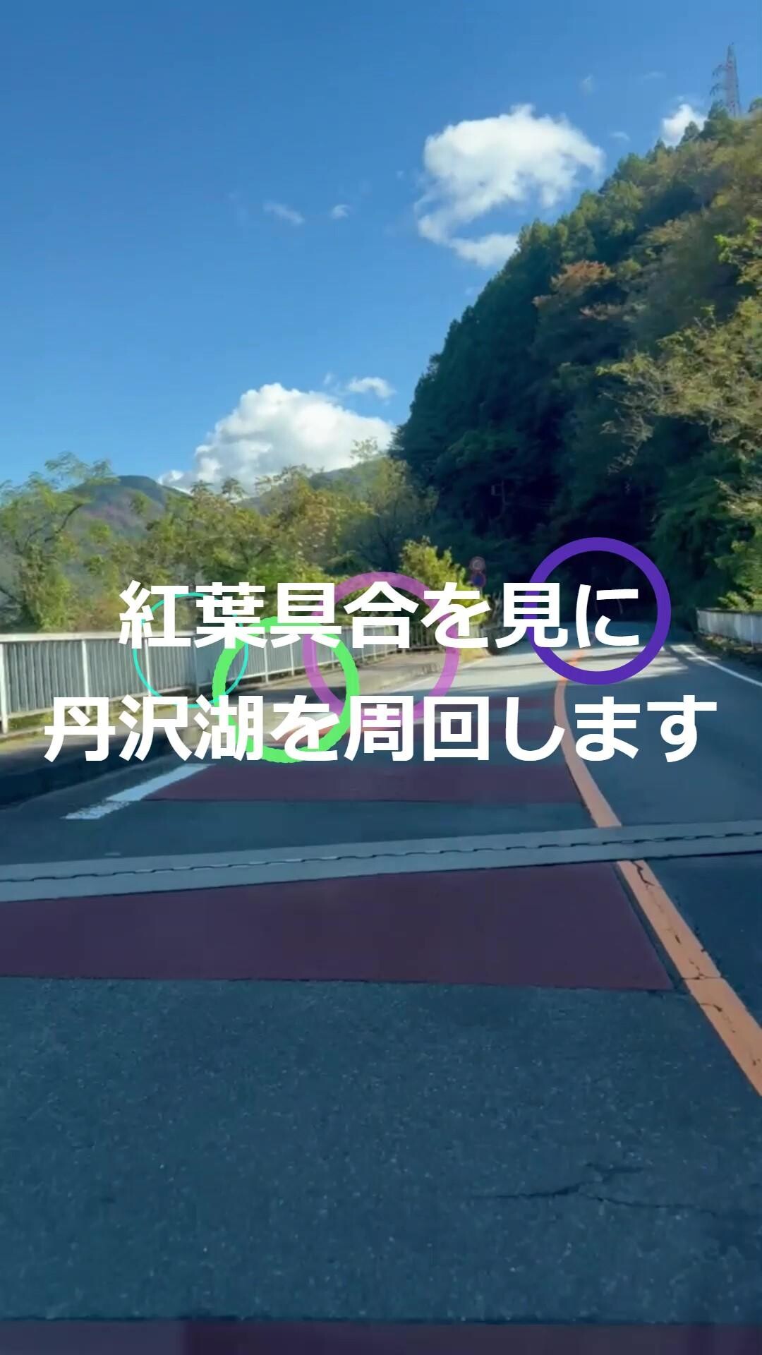 丹沢湖の紅葉情報です 動画リンク htt... / こんチャンさんのモーメント | YAMAP / ヤマップ