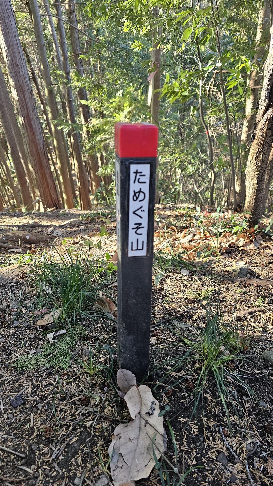 ためぐそ山 / Seijiさんの赤ぼっこの活動データ | YAMAP / ヤマップ