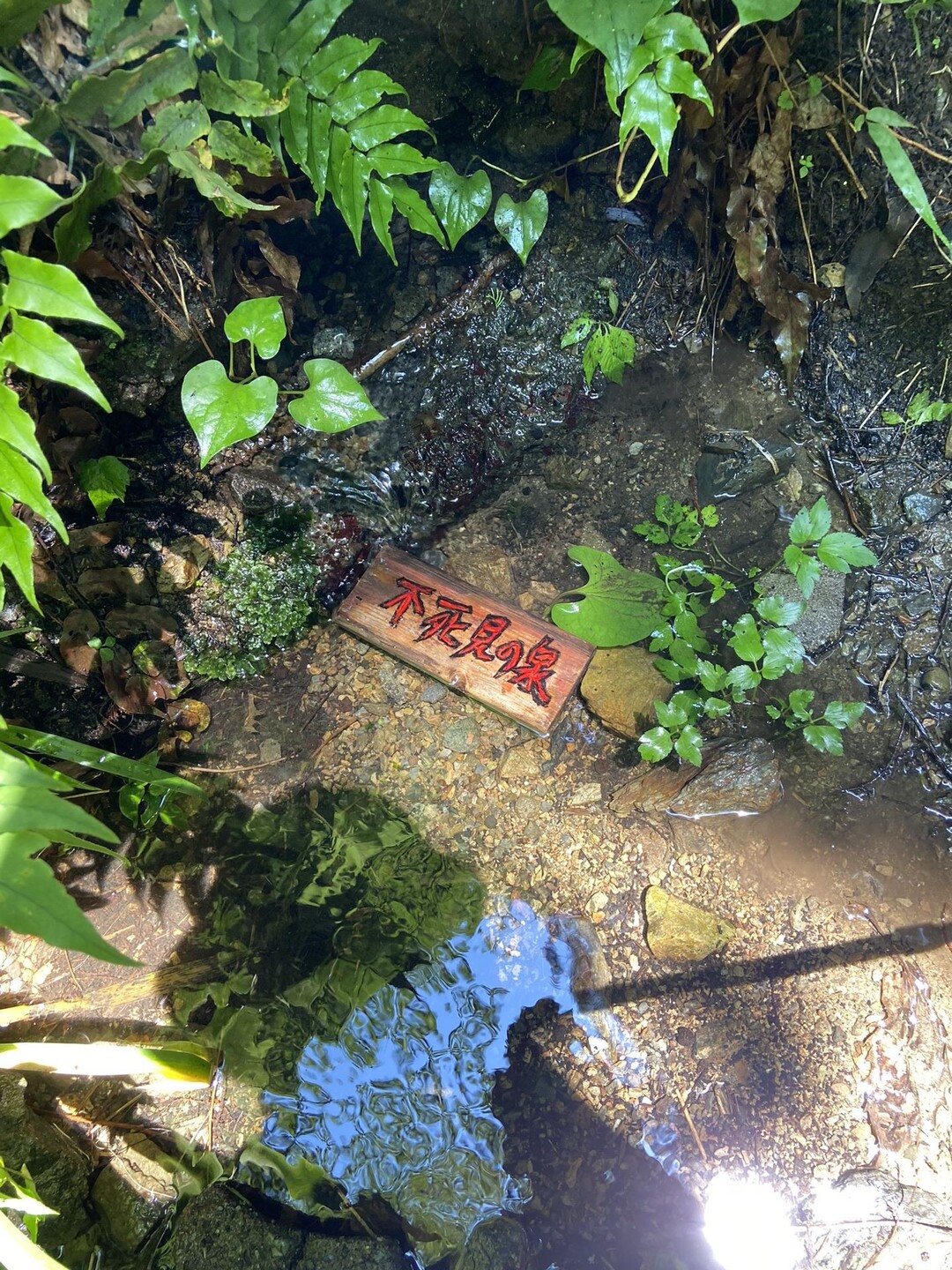 高尾山 不死見の泉 / aishiさんの高尾山・陣馬山・景信山の活動データ | YAMAP / ヤマップ