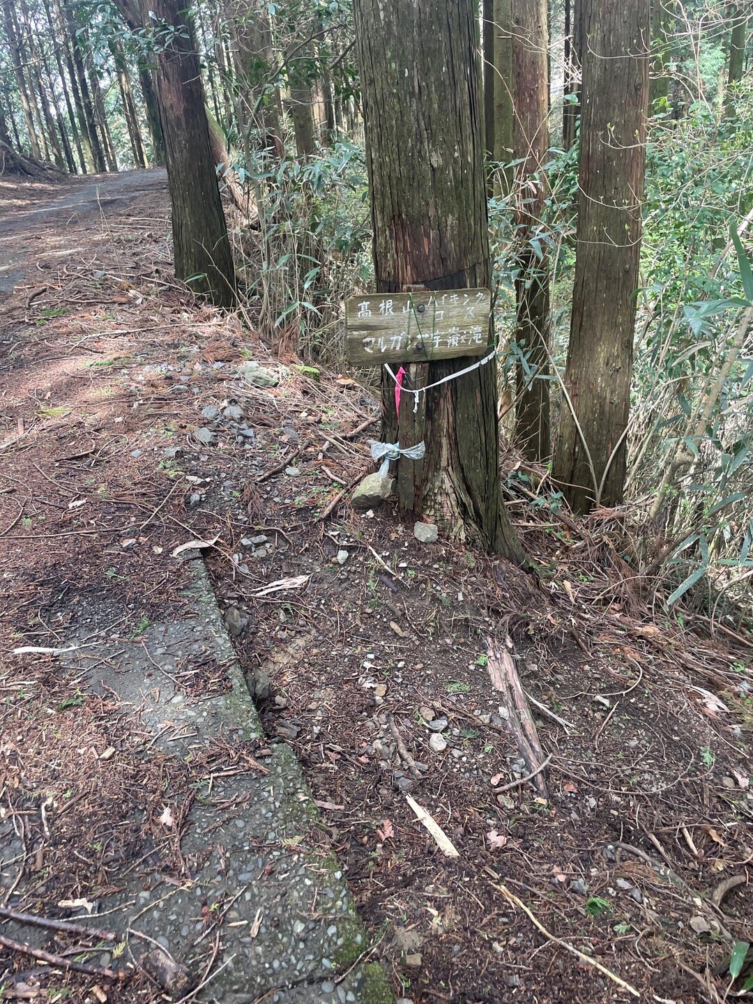 TFLover_Hikingさんの投稿したフィールドメモ | YAMAP / ヤマップ