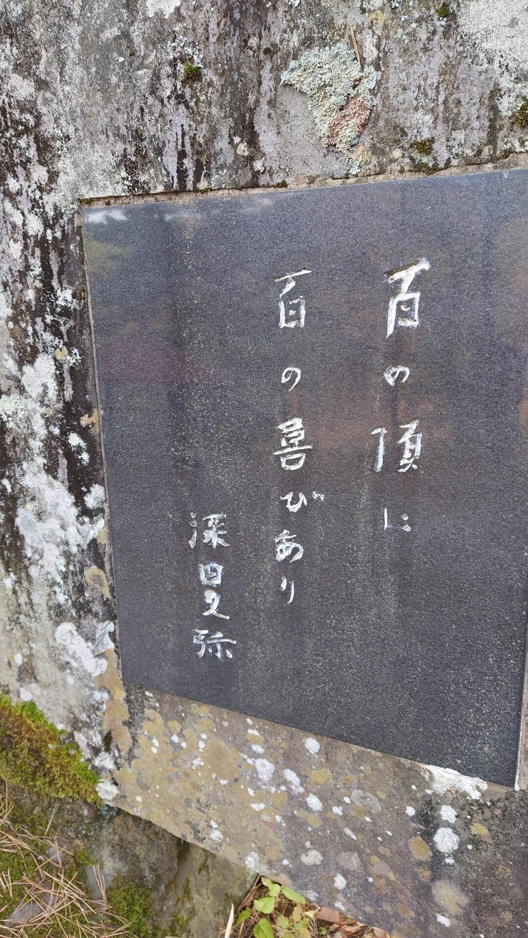 登山あるある…茅ヶ岳 / HAYAさんの茅ヶ岳・金ヶ岳・太刀岡山の活動データ | YAMAP / ヤマップ