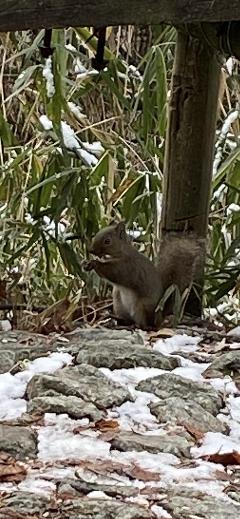 やっと会えたよぉ♡ / miki さんの葛城修験エリアマップ（二上山周辺）の活動データ | YAMAP / ヤマップ