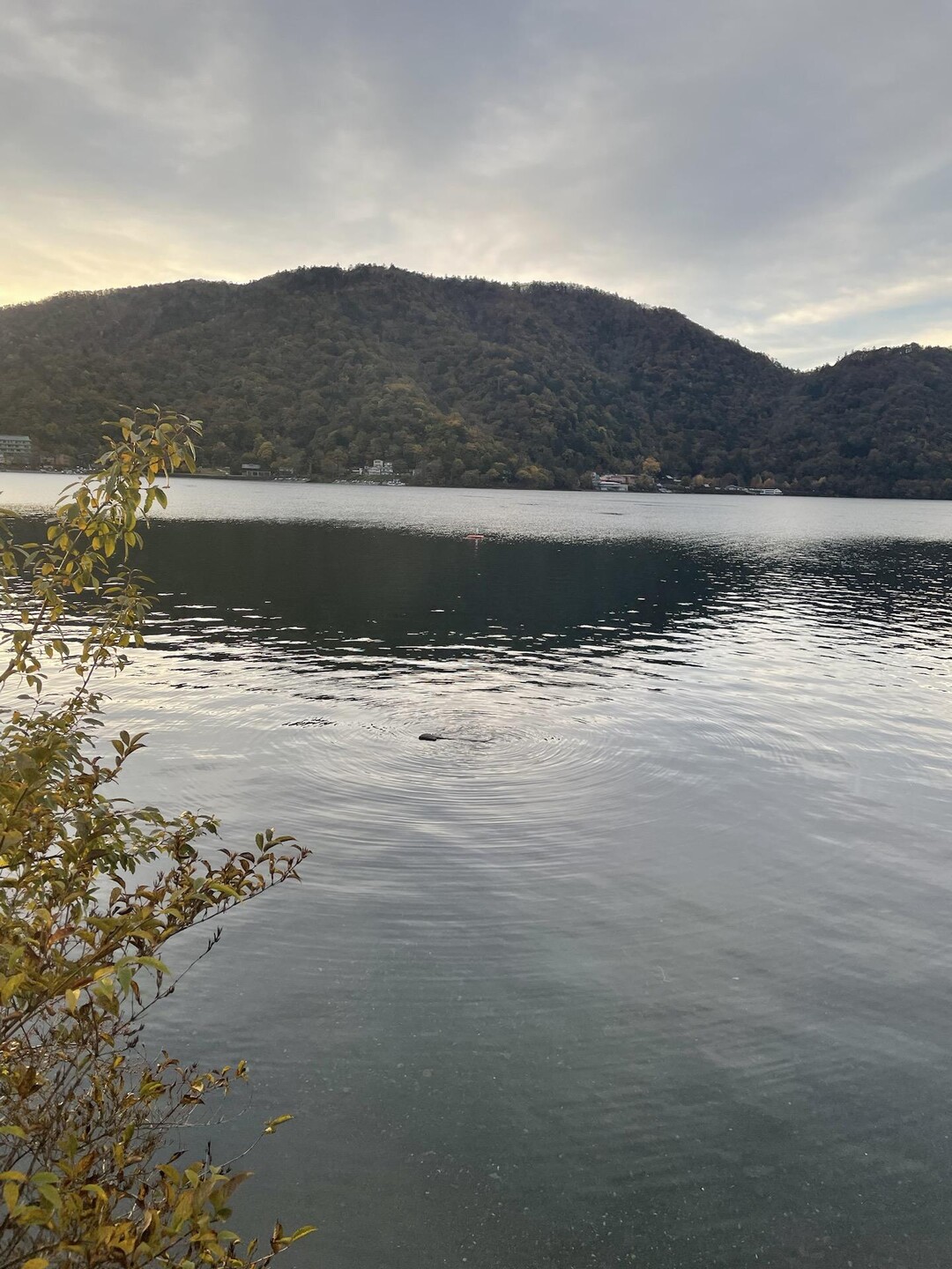 男体山 / k ryosukeさんの男体山の活動データ | YAMAP / ヤマップ