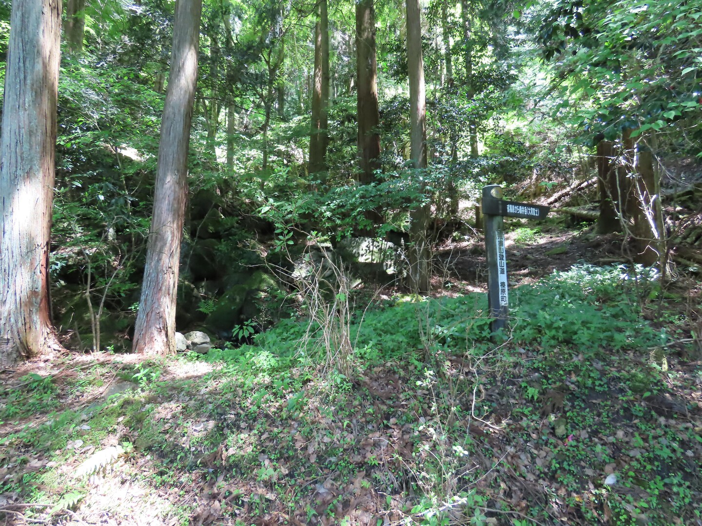 kazz309さんの投稿したフィールドメモ | YAMAP / ヤマップ