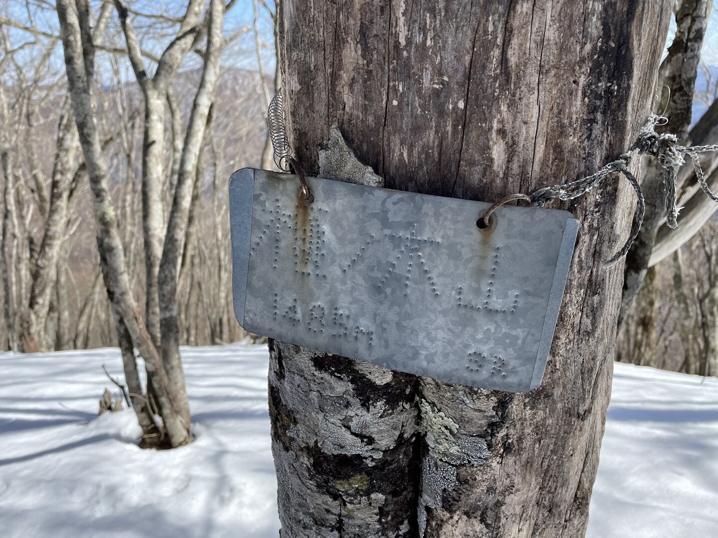 Motoさんの投稿したフィールドメモ | YAMAP / ヤマップ