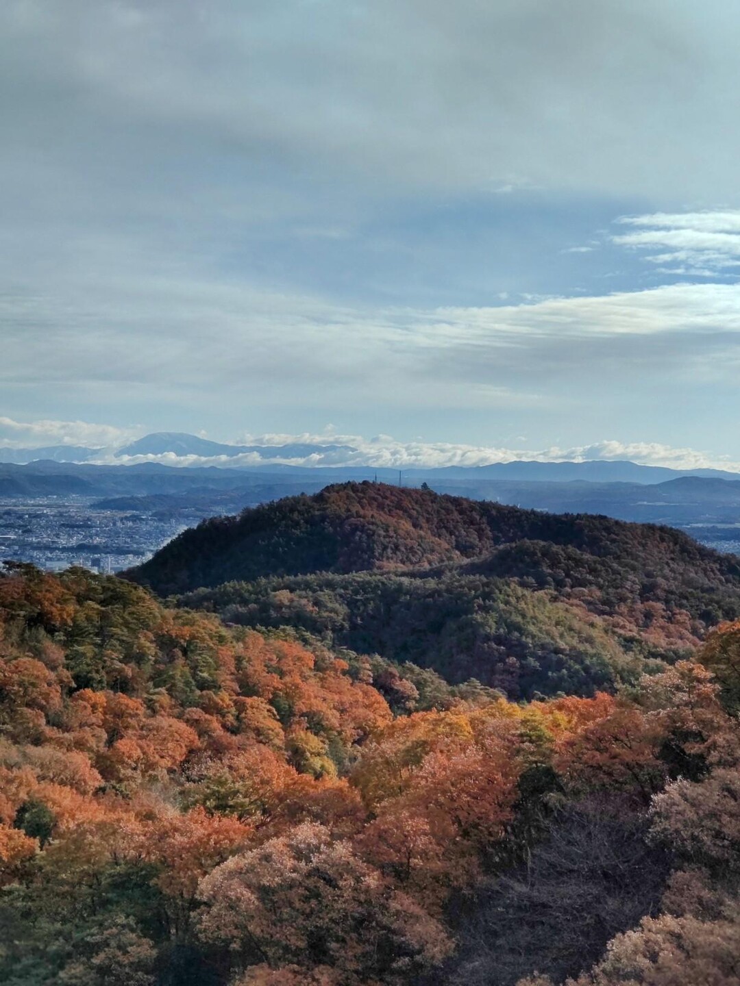 今年を思い返す時期になりましたね。 / k3さんの鳩吹山の活動データ | YAMAP / ヤマップ