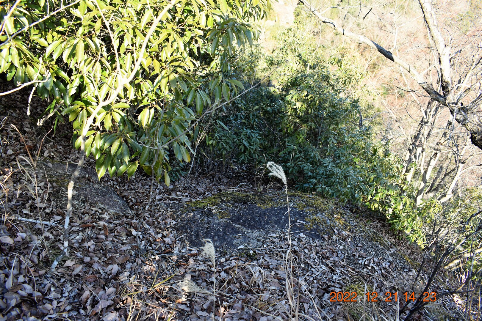 ピエール・HOSHIさんの投稿したフィールドメモ | YAMAP / ヤマップ