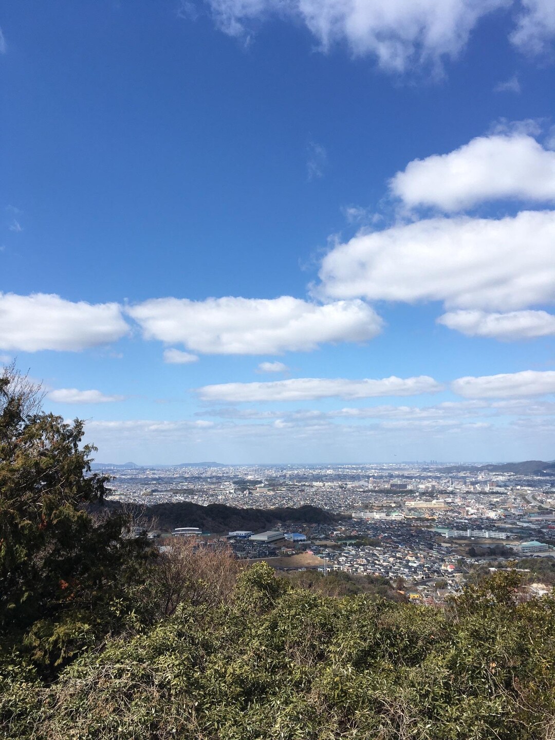 山頂6℃の天拝山から博多湾を望む / tada−noriさんの天拝山・基山の活動日記 | YAMAP / ヤマップ