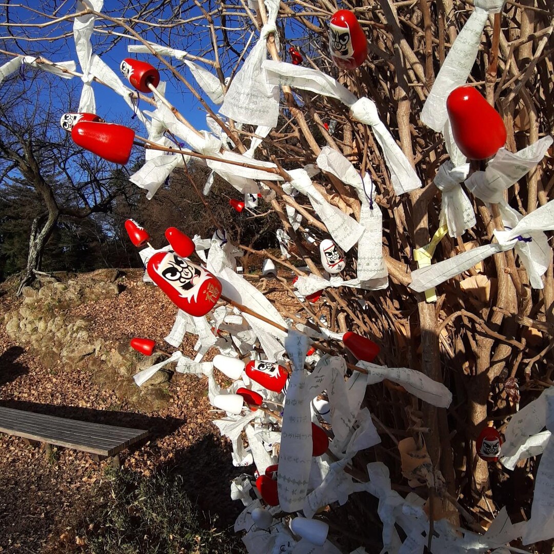 お友達と初日の出ラン - 野島山 / NORさんの鎌倉アルプス（大平山・天台山）の活動データ | YAMAP / ヤマップ
