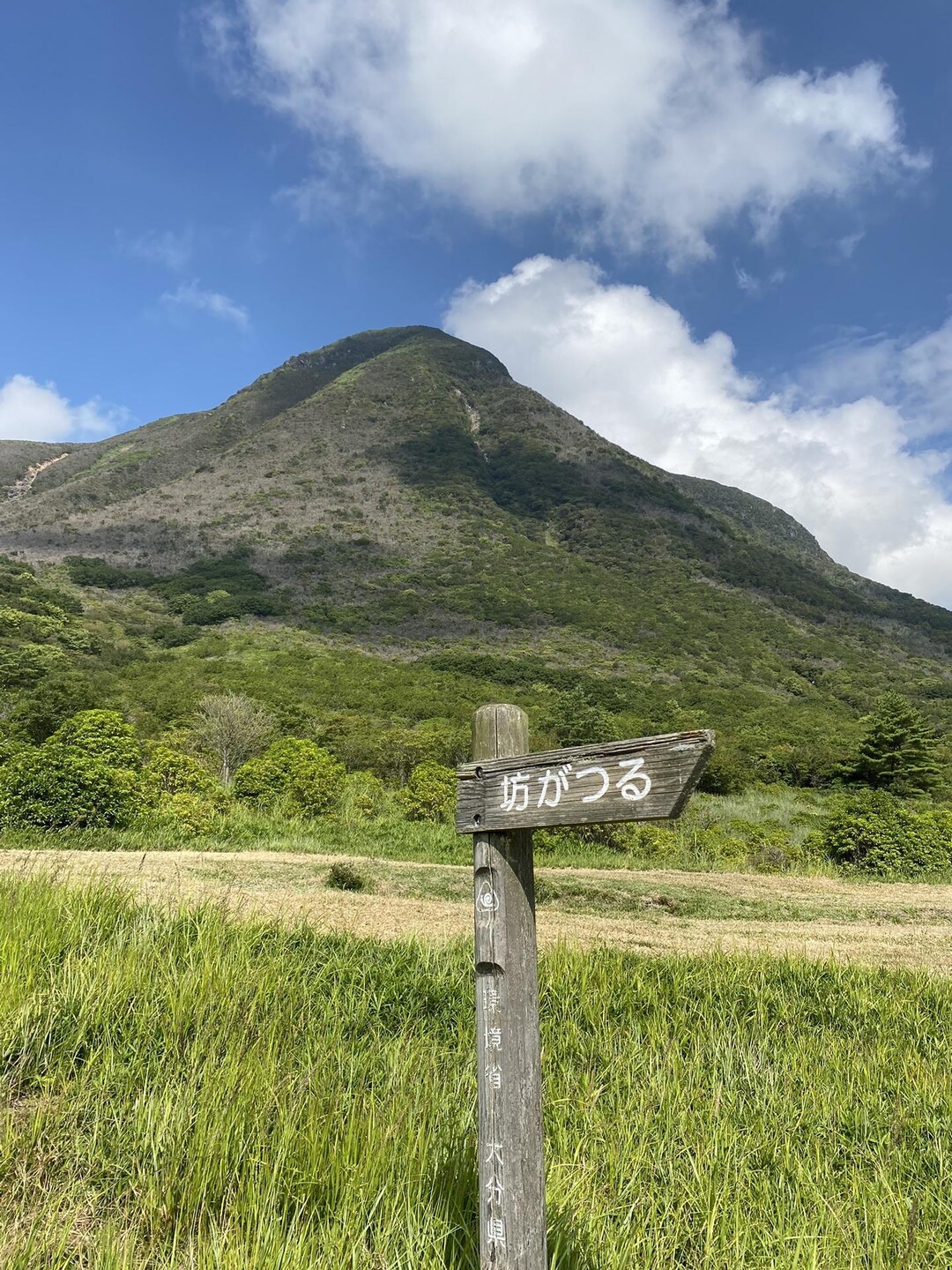 夏休み最後の坊キャン / siroさんの九重山（久住山）・大船山・星生山の活動データ | YAMAP / ヤマップ