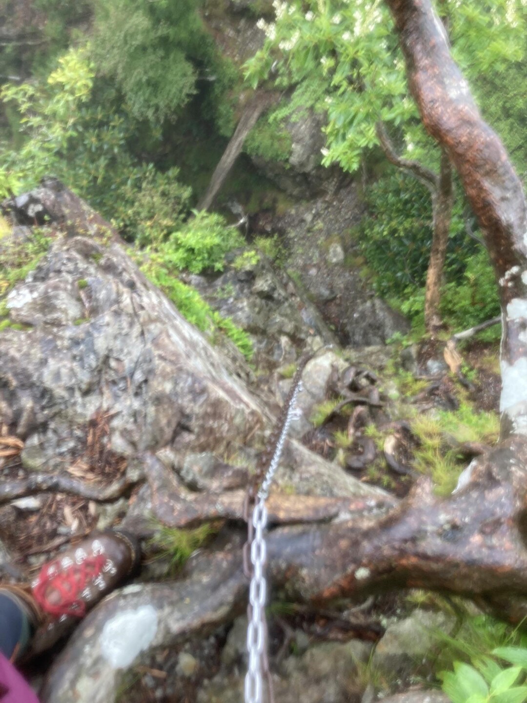 akimetalさんの投稿したフィールドメモ | YAMAP / ヤマップ