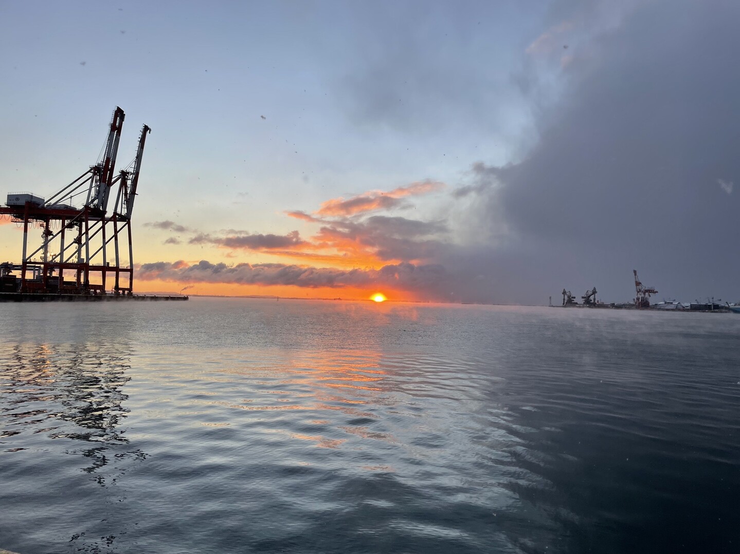 🎍明けましておめでとうございます🎍 ... / Mei🐻さんのモーメント | YAMAP / ヤマップ