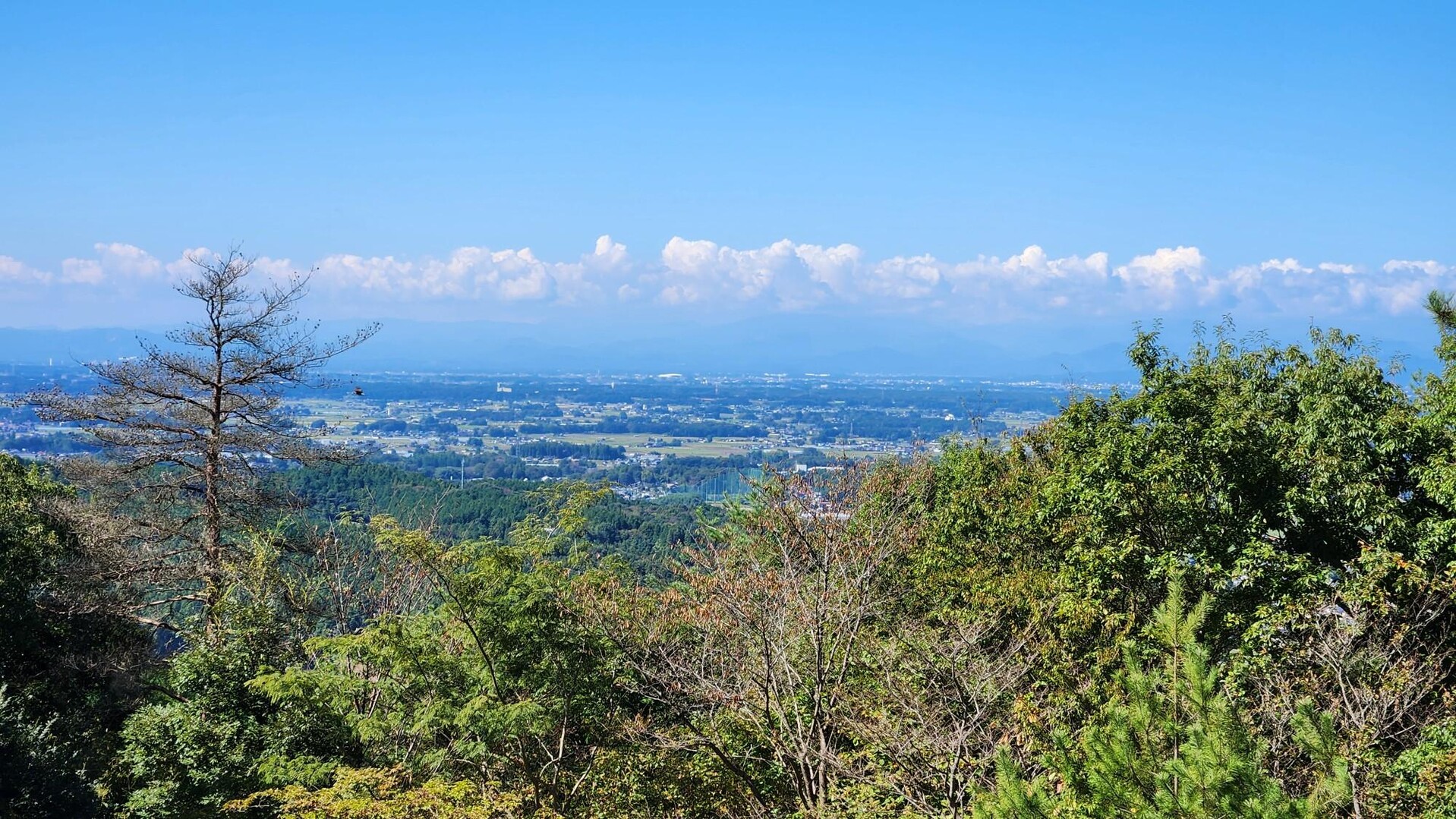 高館山 西明寺付き / マshuさんの雨巻山・足尾山・三登谷山・高舘山の活動データ | YAMAP / ヤマップ