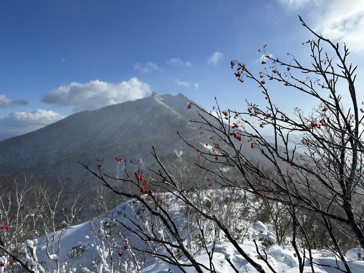 漁岳〜オコタンペ山 / koji iさんの漁岳の活動データ | YAMAP / ヤマップ