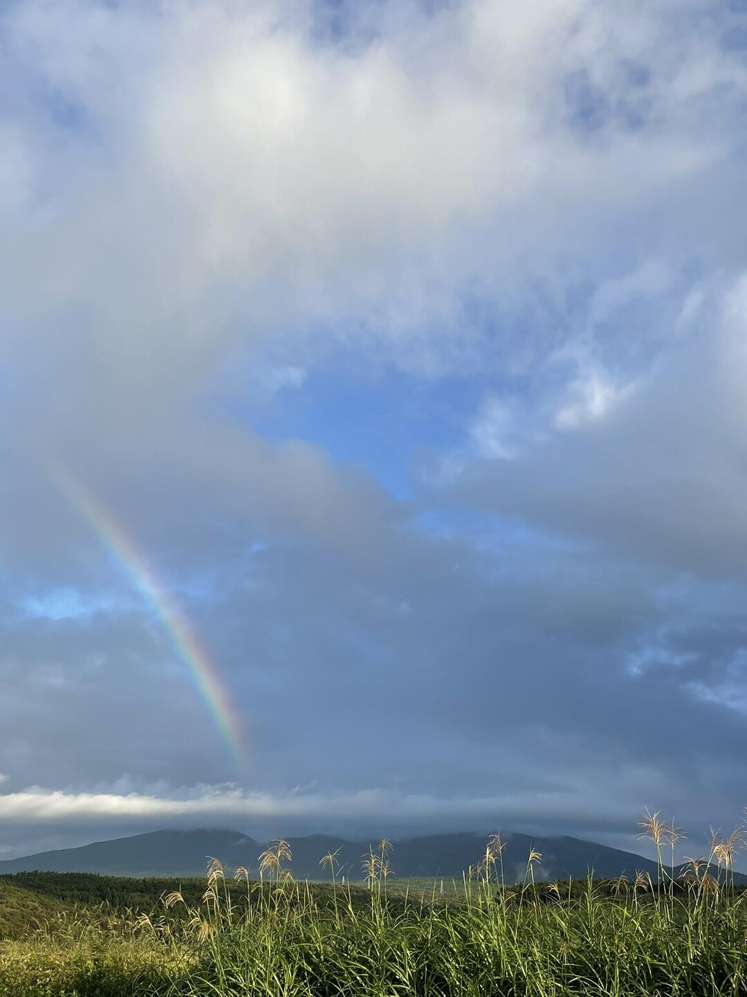 虹がかかった鳥海山 / マドモアゼルさんのモーメント | YAMAP / ヤマップ