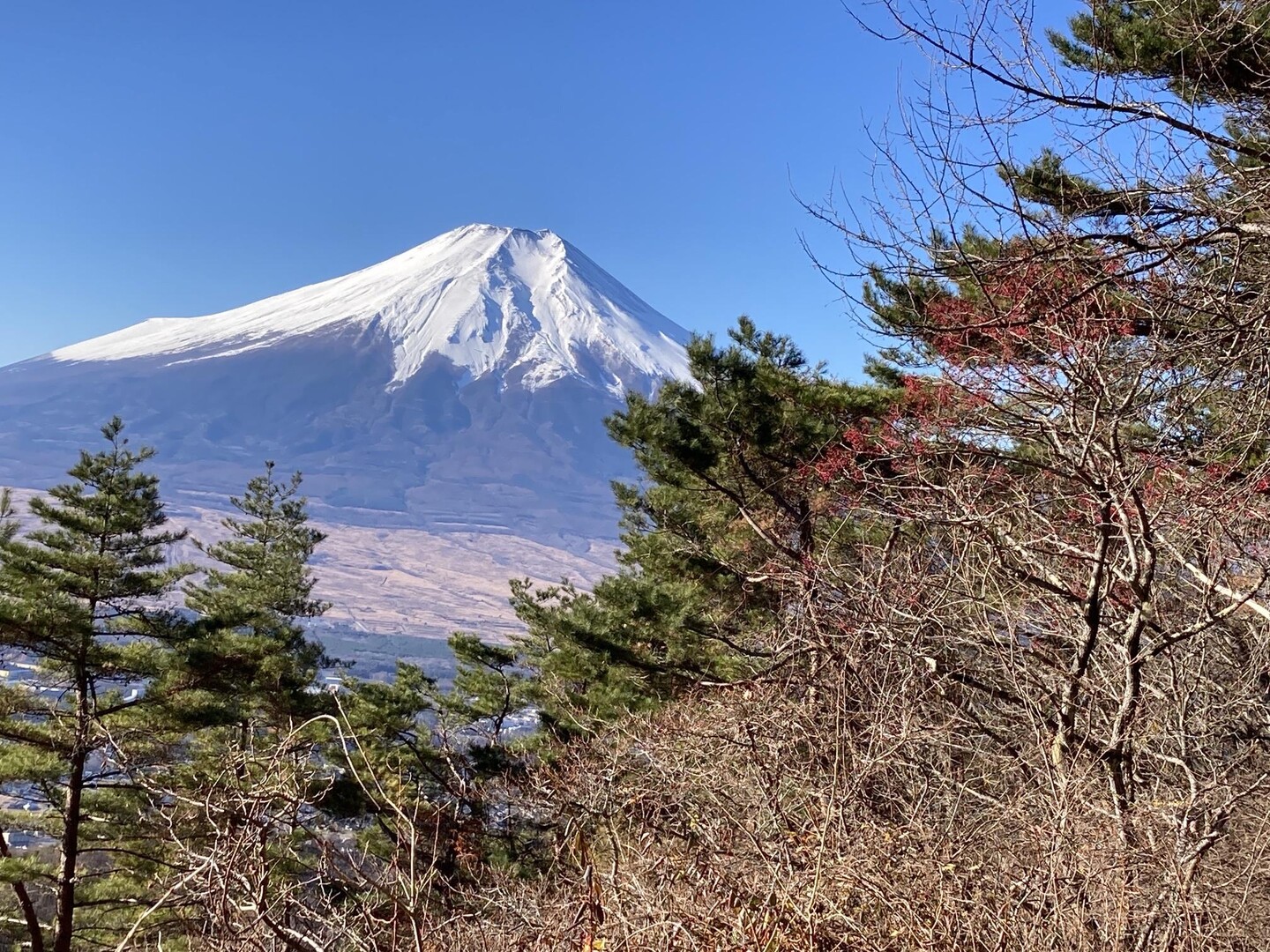 杓子山と忍野八海 / kz...ymさんの御正体山・杓子山・石割山の活動データ | YAMAP / ヤマップ