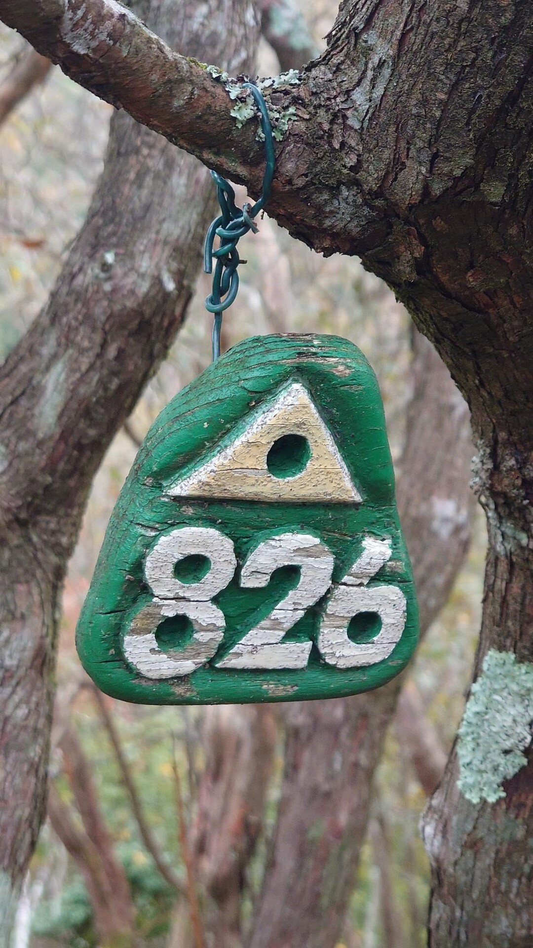 表山・裏山・笙ヶ岳（東峰）・笙ヶ岳・北尾根P826峰・三方山 / ひっぴさんの養老山・笙ヶ岳・三方山の活動データ | YAMAP / ヤマップ