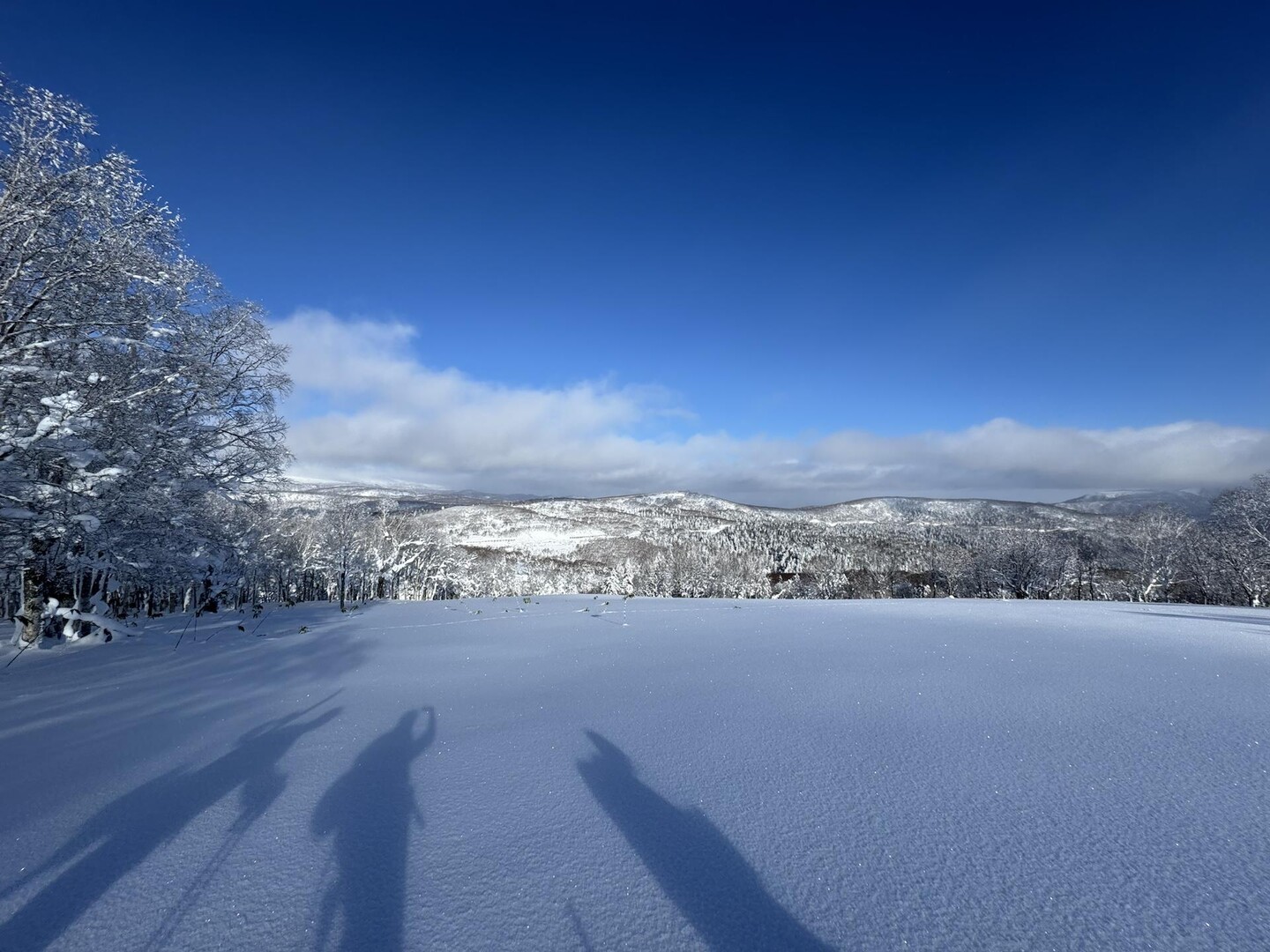 BCツアー&プチアバランチ講習 / SUGAさんの蓬莱山の活動データ | YAMAP / ヤマップ