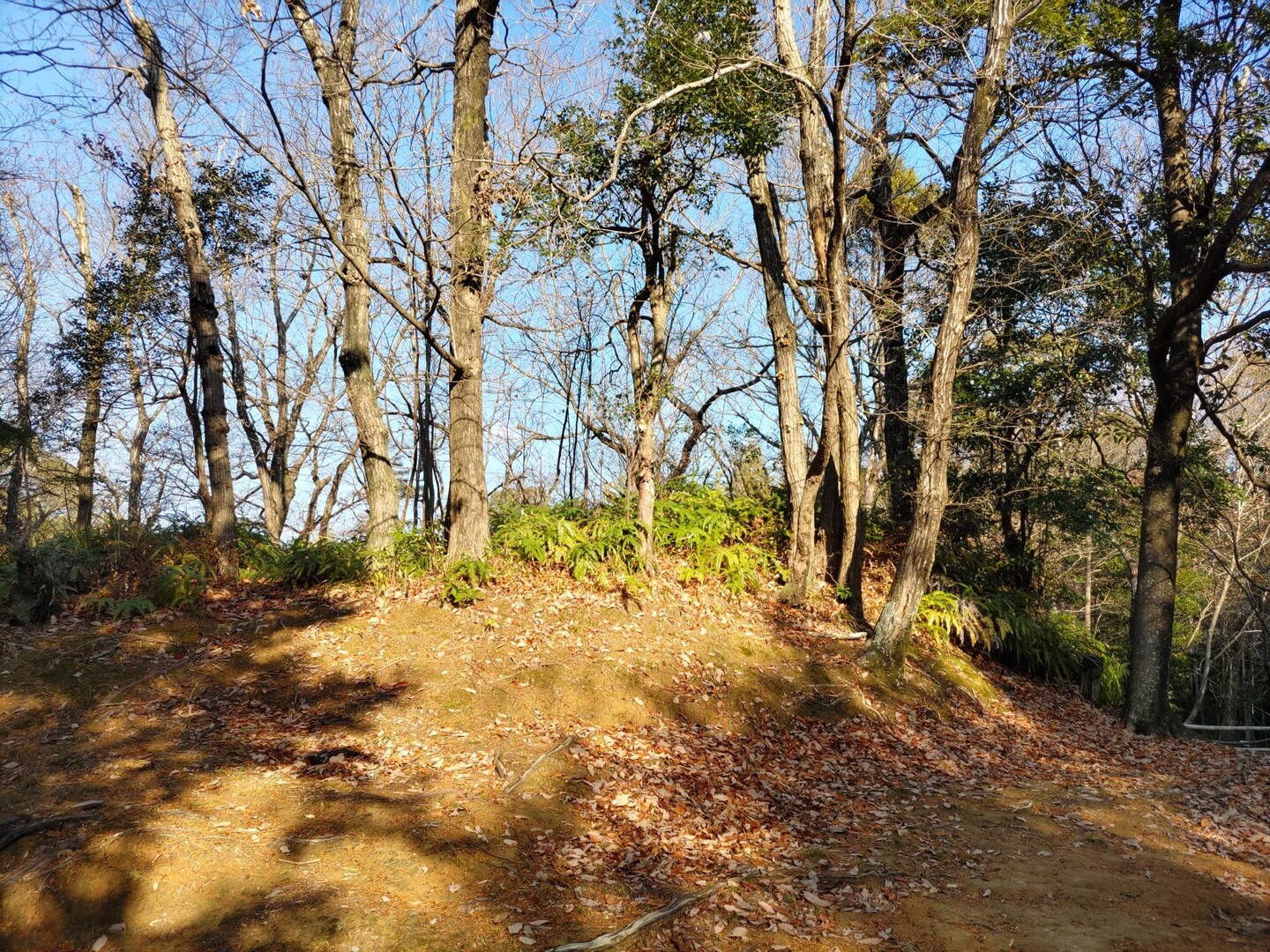 松尾山【53.1m】公園内ｳｫｰｷﾝｸﾞ / さとちゃんさんの松阪市の活動日記 | YAMAP / ヤマップ