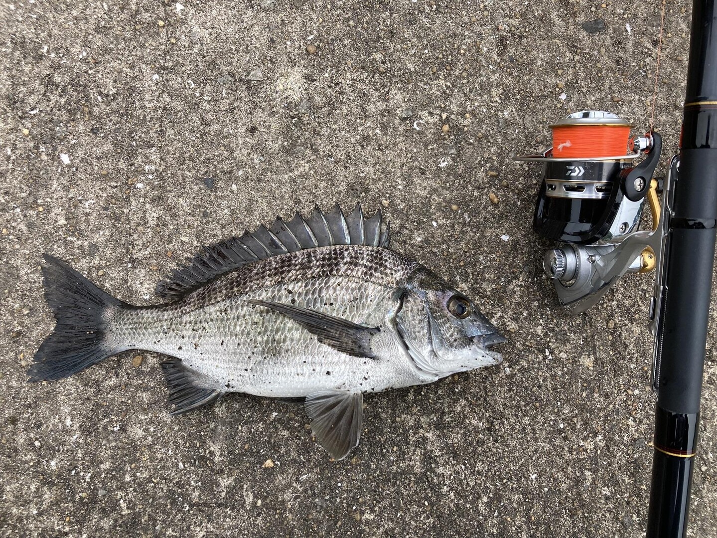 18JUN,23 息子と師匠と釣り🎣 / Kannaさんのモーメント | YAMAP / ヤマップ