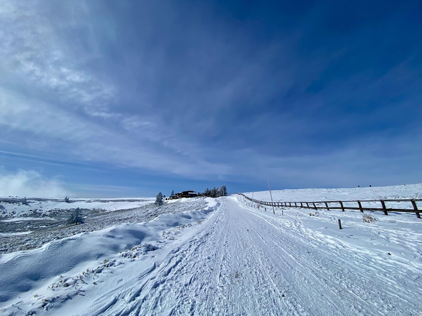 スノーハイク 美ヶ原（王ヶ頭）・王ヶ鼻 / sugiさんの美ヶ原の活動データ | YAMAP / ヤマップ