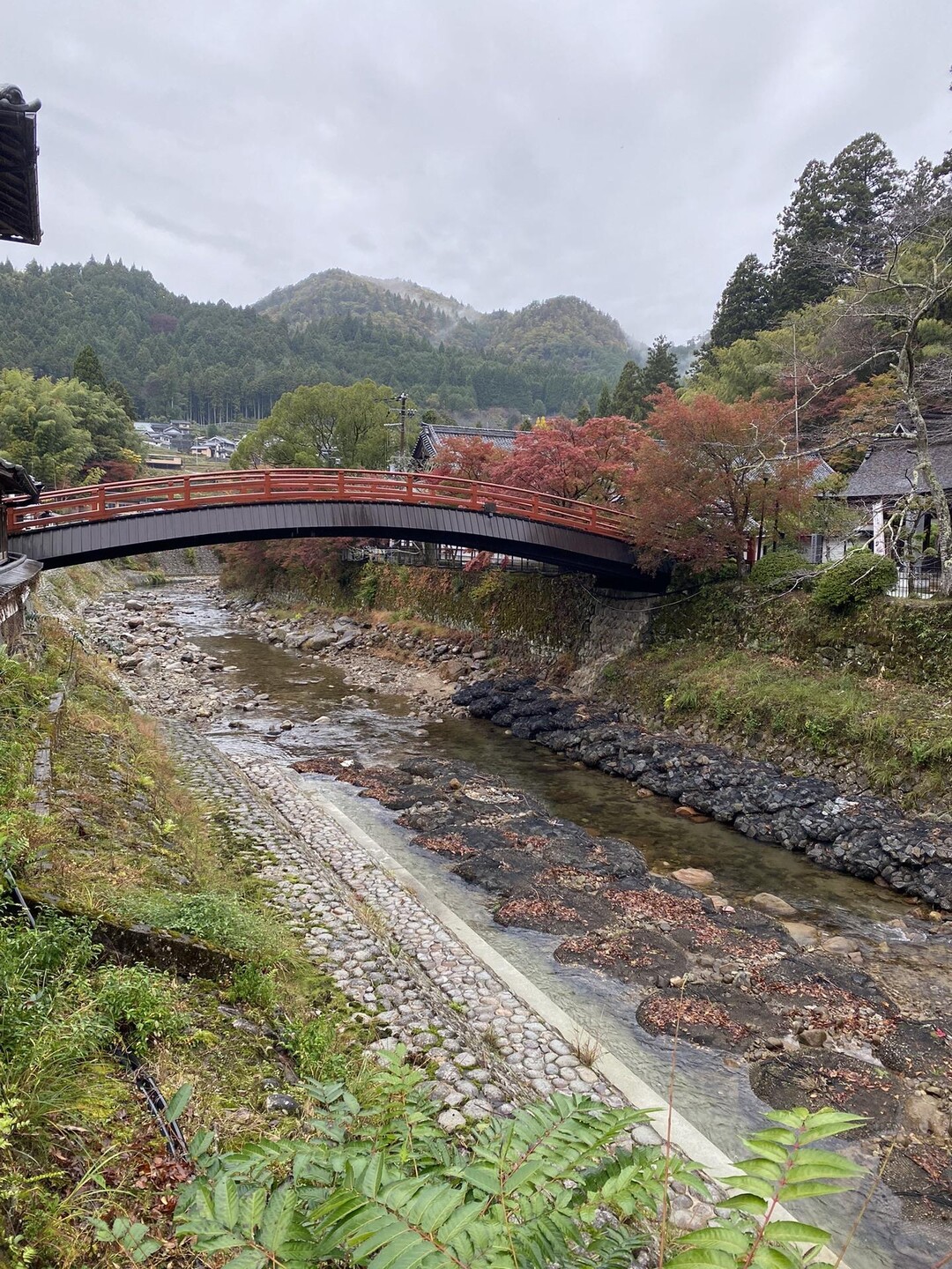 同じく長谷寺 / shuさんのモーメント | YAMAP / ヤマップ