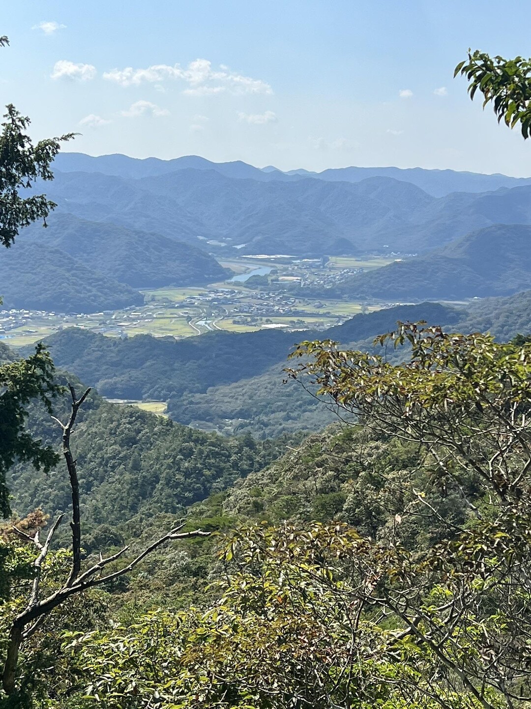 宝台山 / Tomさんの三濃山・感状山の活動データ | YAMAP / ヤマップ
