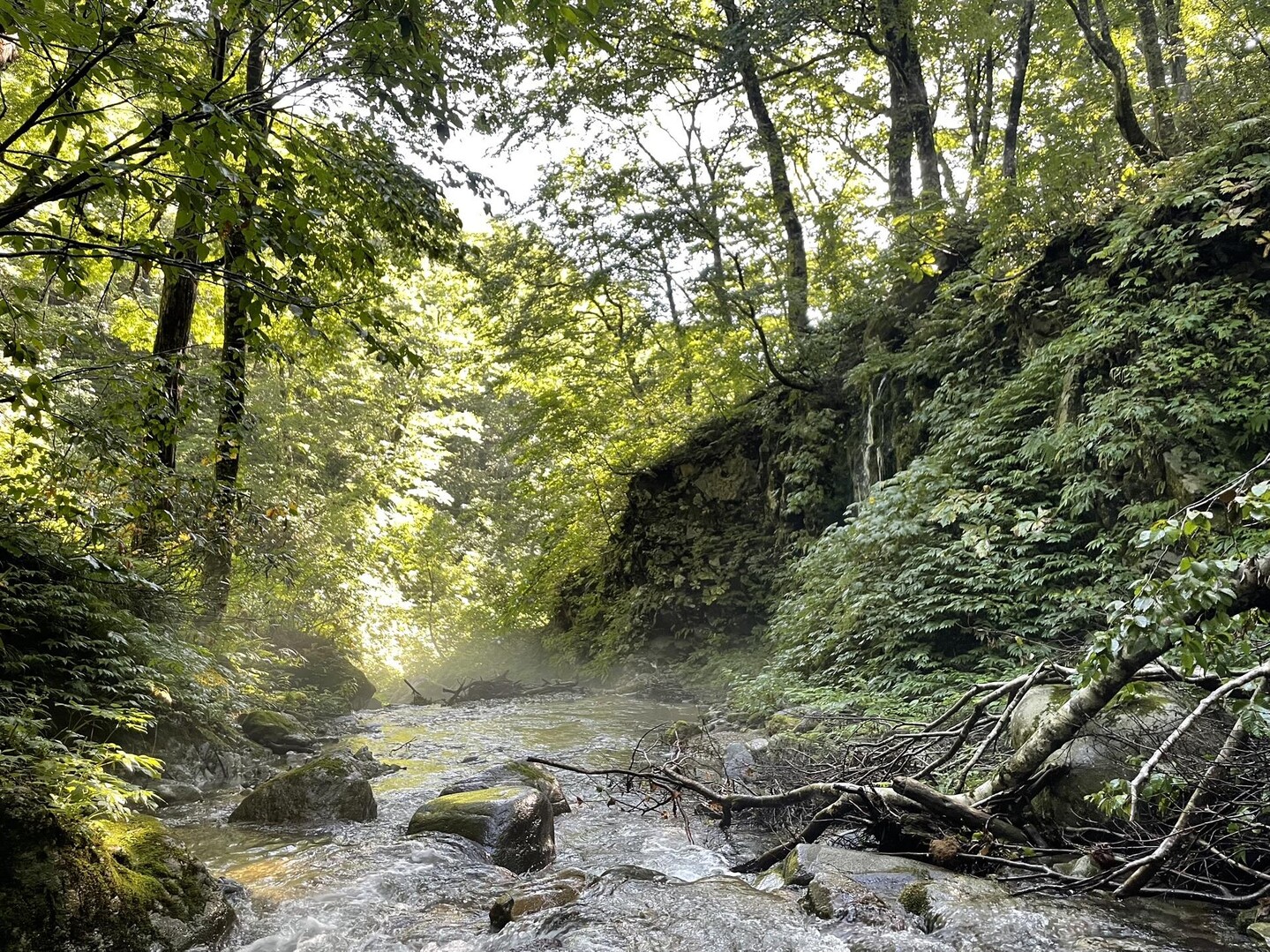 ウシロ沢遡行、牛形山登山 / shimi-kenさんの焼石岳・兎森山・鷲ヶ森山の活動データ | YAMAP / ヤマップ