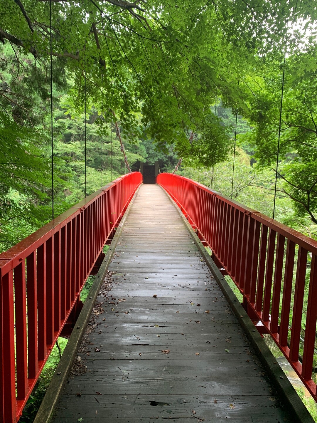 梟ヶ城址展望台・天下峯 / oioiさんの六所山・炮烙山の活動データ | YAMAP / ヤマップ