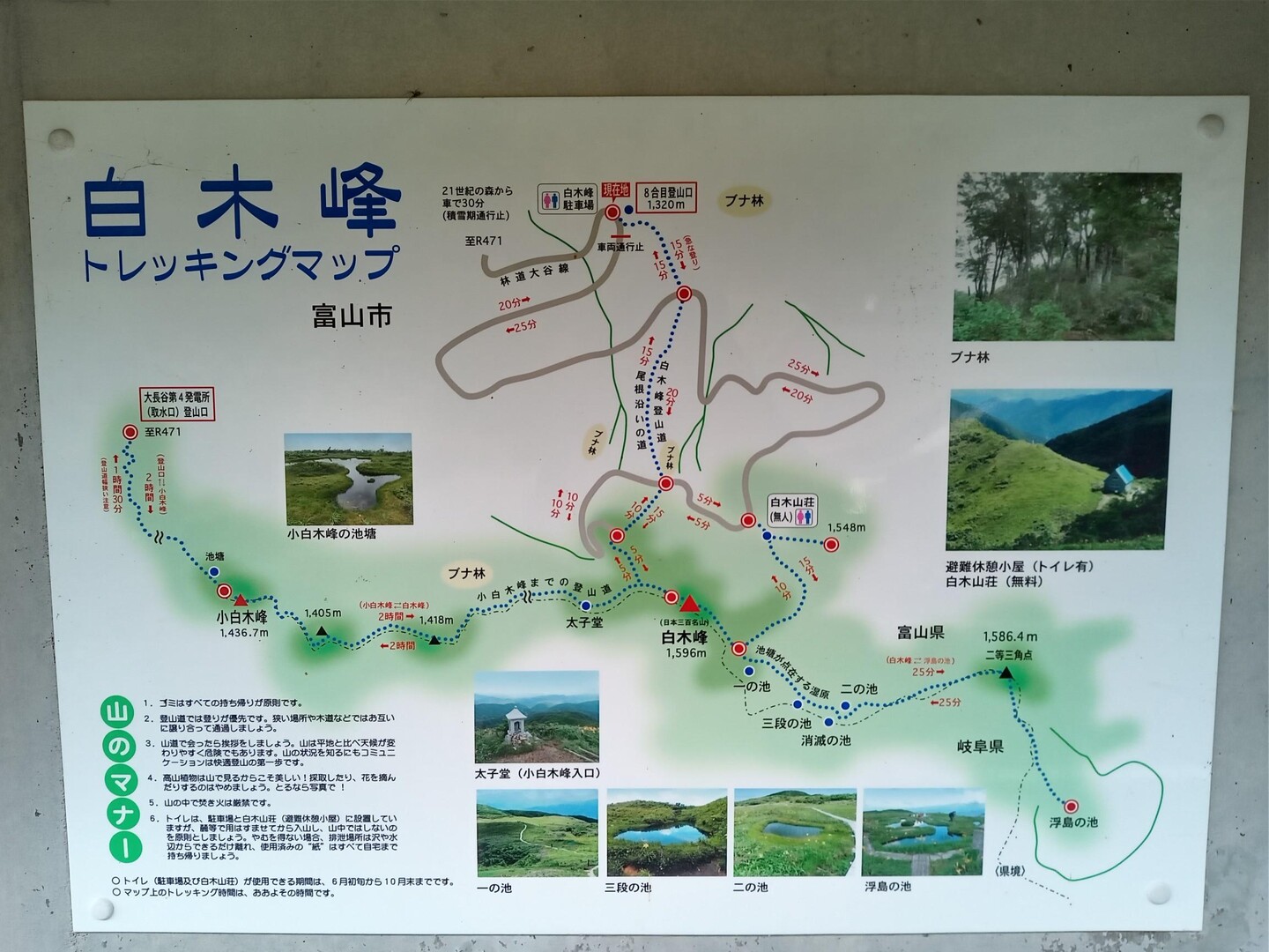 白木峰 / goさんの白木峰・小白木峰の活動データ | YAMAP / ヤマップ