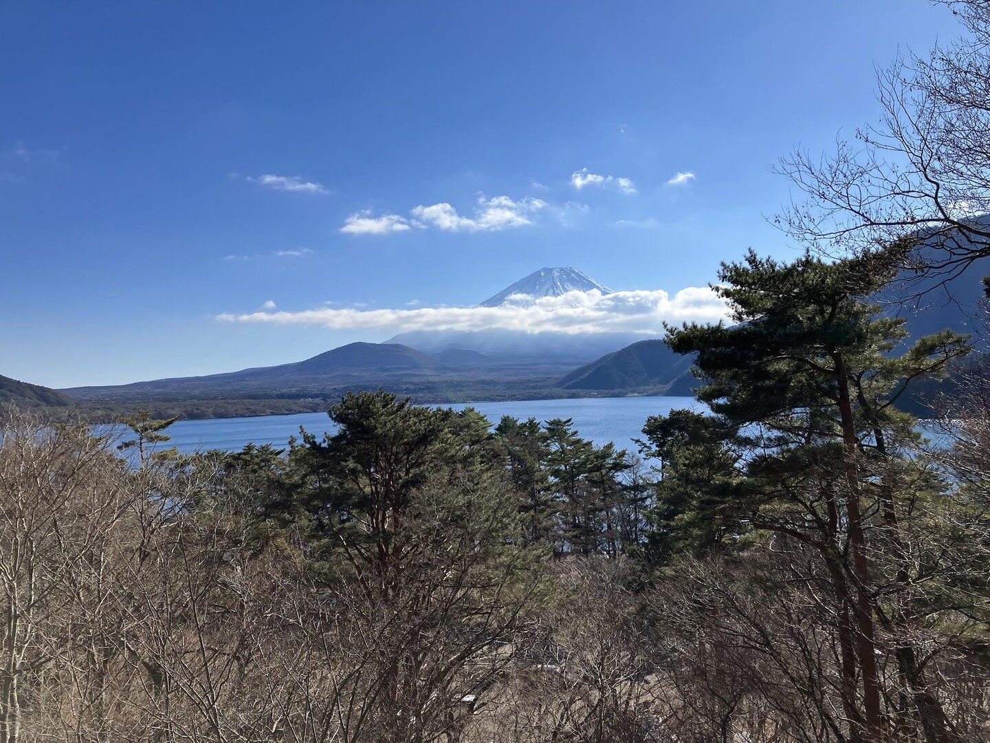 竜ヶ岳(1485m)・石仏〜湖畔ルート〜周遊歩道 / yosiさんの毛無山・雨ヶ岳・竜ヶ岳の活動データ | YAMAP / ヤマップ