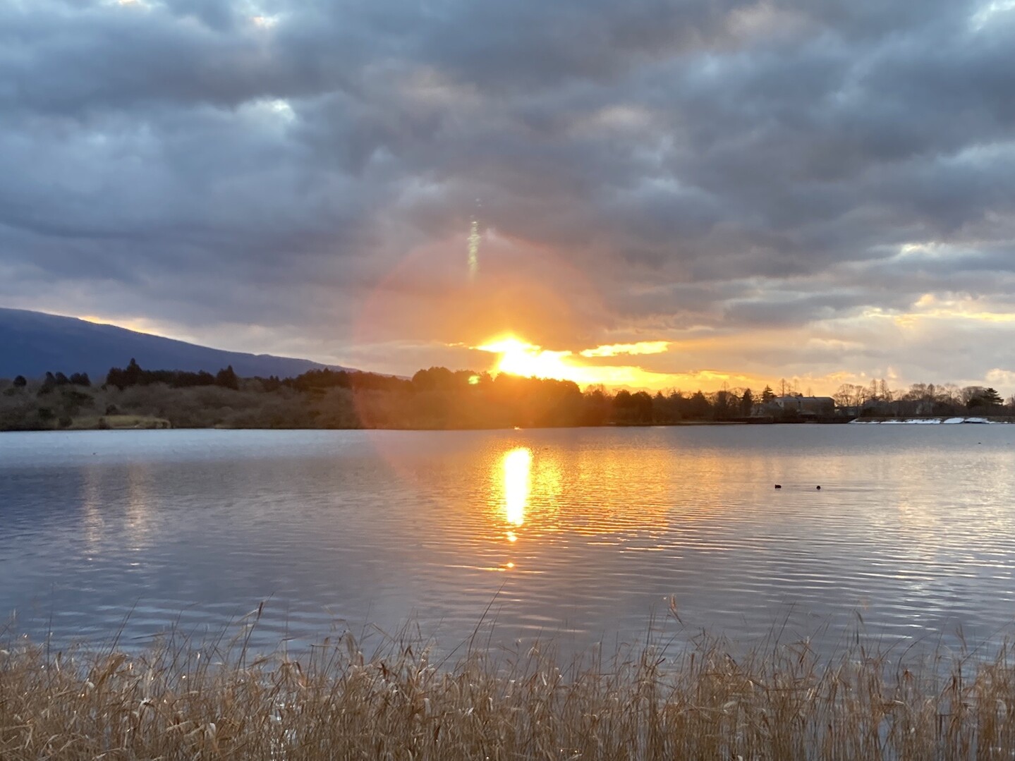 今日は、ここからスタートでした😁 / F54JCWさんのモーメント | YAMAP / ヤマップ