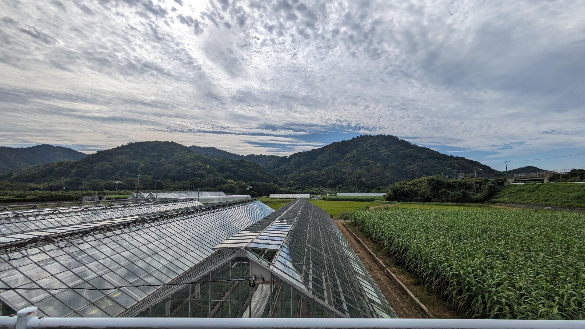保田浅間山・鹿嶺、観現山（物見台 登録申請します） / ko usさんの鋸山の活動データ | YAMAP / ヤマップ