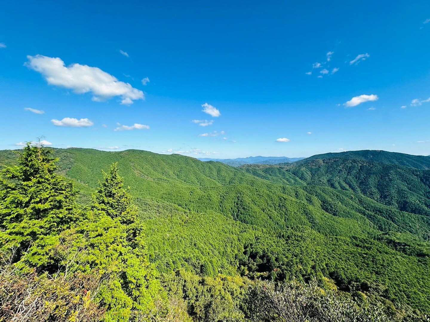 可部Trチャレンジコース試走🏃‍ ️ 走らんけど💦 / yamasunさんの可部冠山・堂床山・大掛山の活動データ | YAMAP / ヤマップ