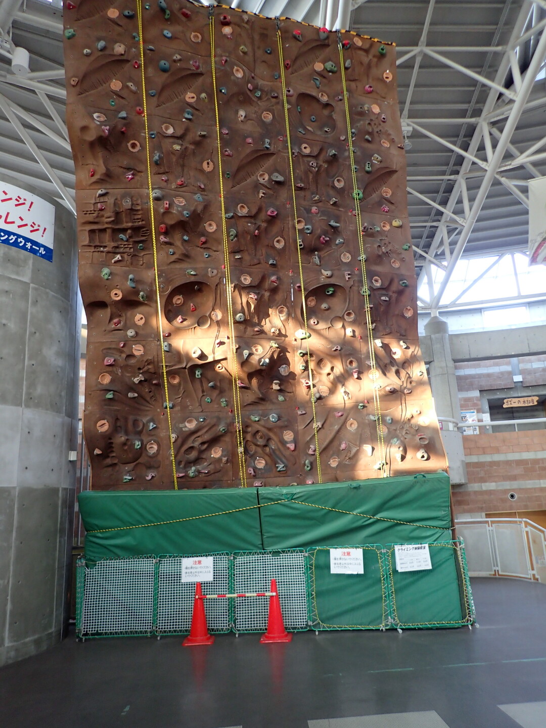 こどもの国クライミング練習 / ymさんのクライミングの活動データ | YAMAP / ヤマップ