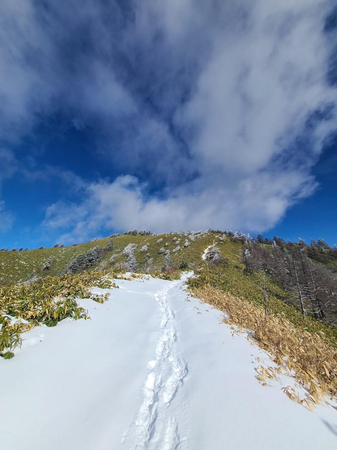 横岳・大川入山 / goriさんの蛇峠山の活動データ | YAMAP / ヤマップ