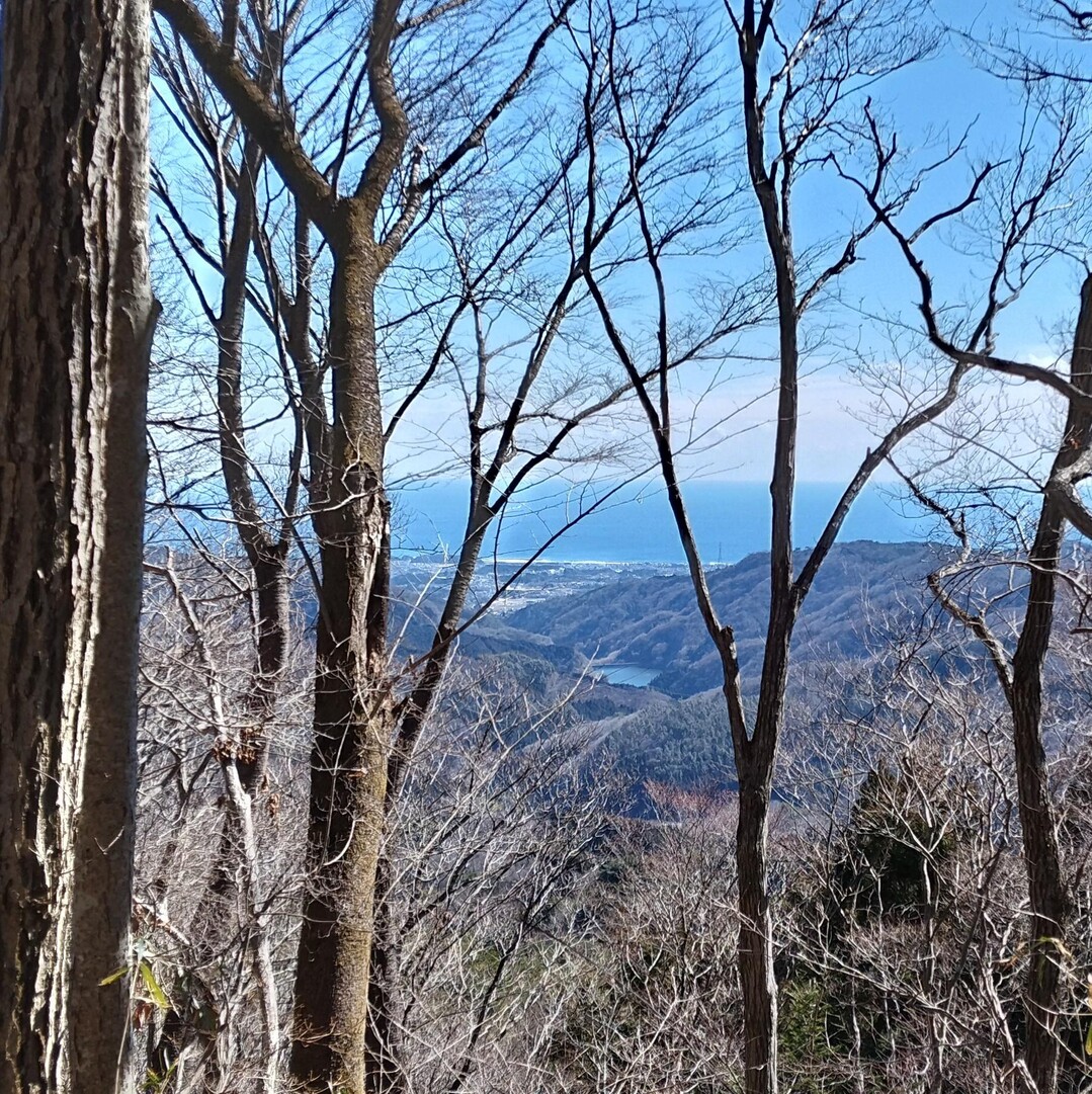 土岳・竪破山 (常陸国LT SE-01〜SE-16) / さあらまあいさんの土岳・花貫渓谷・竪破山の活動データ | YAMAP / ヤマップ