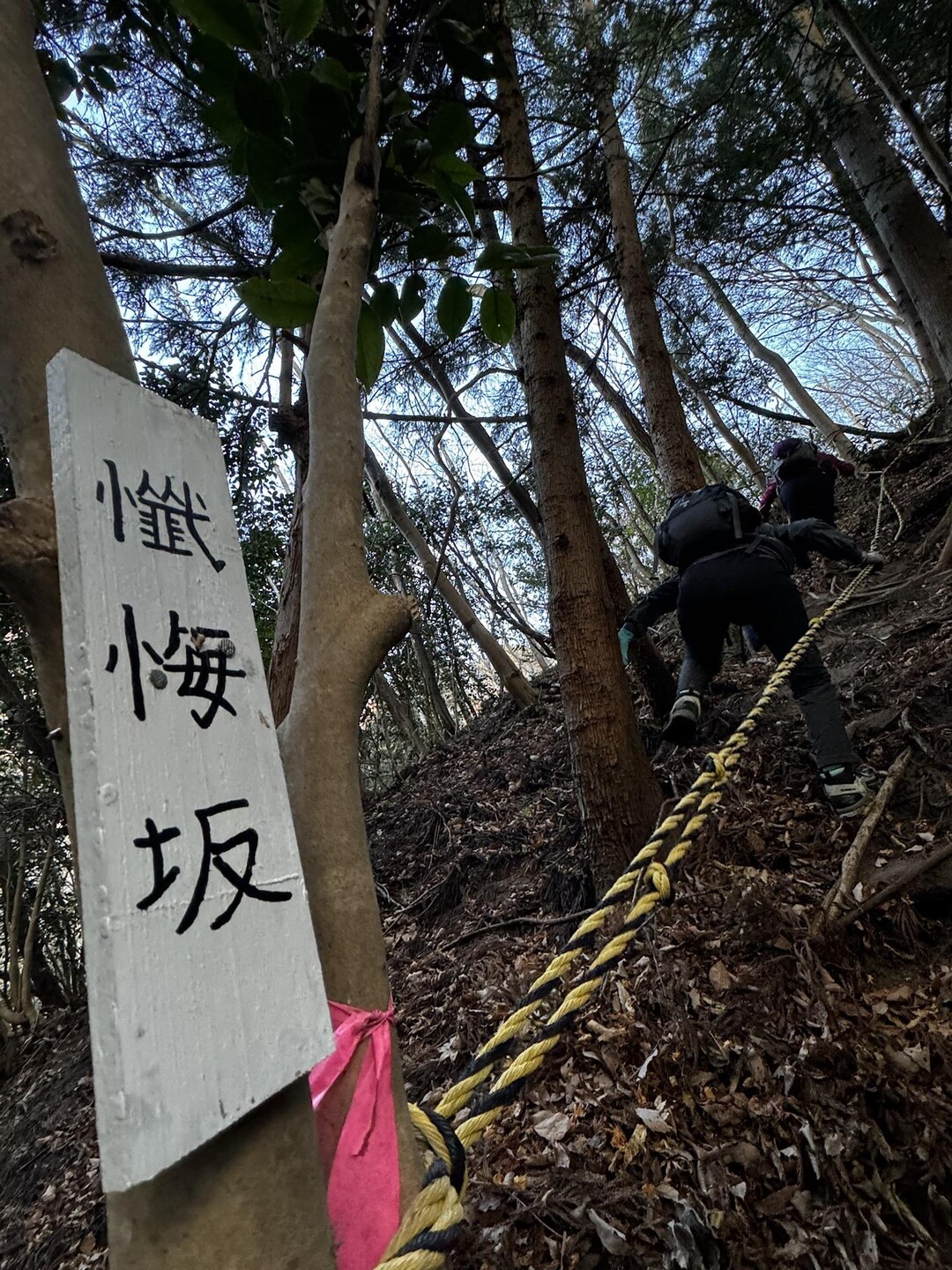 ささろみガイドと行く往生山🙏 / chi-zuさんの湯ノ岳・天狗山・三大明神山の活動データ | YAMAP / ヤマップ