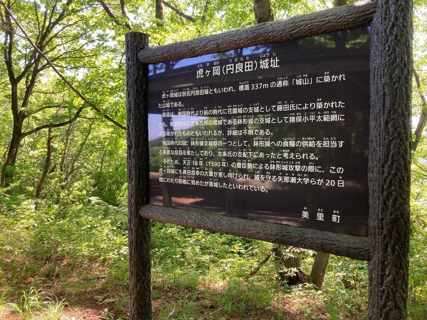 円良田城山・西高山・東高山・鐘撞堂山#27・八幡山 / taoさんの宝登山・長瀞アルプス・不動山・陣見山・鐘撞堂山の活動日記 | YAMAP / ヤマップ
