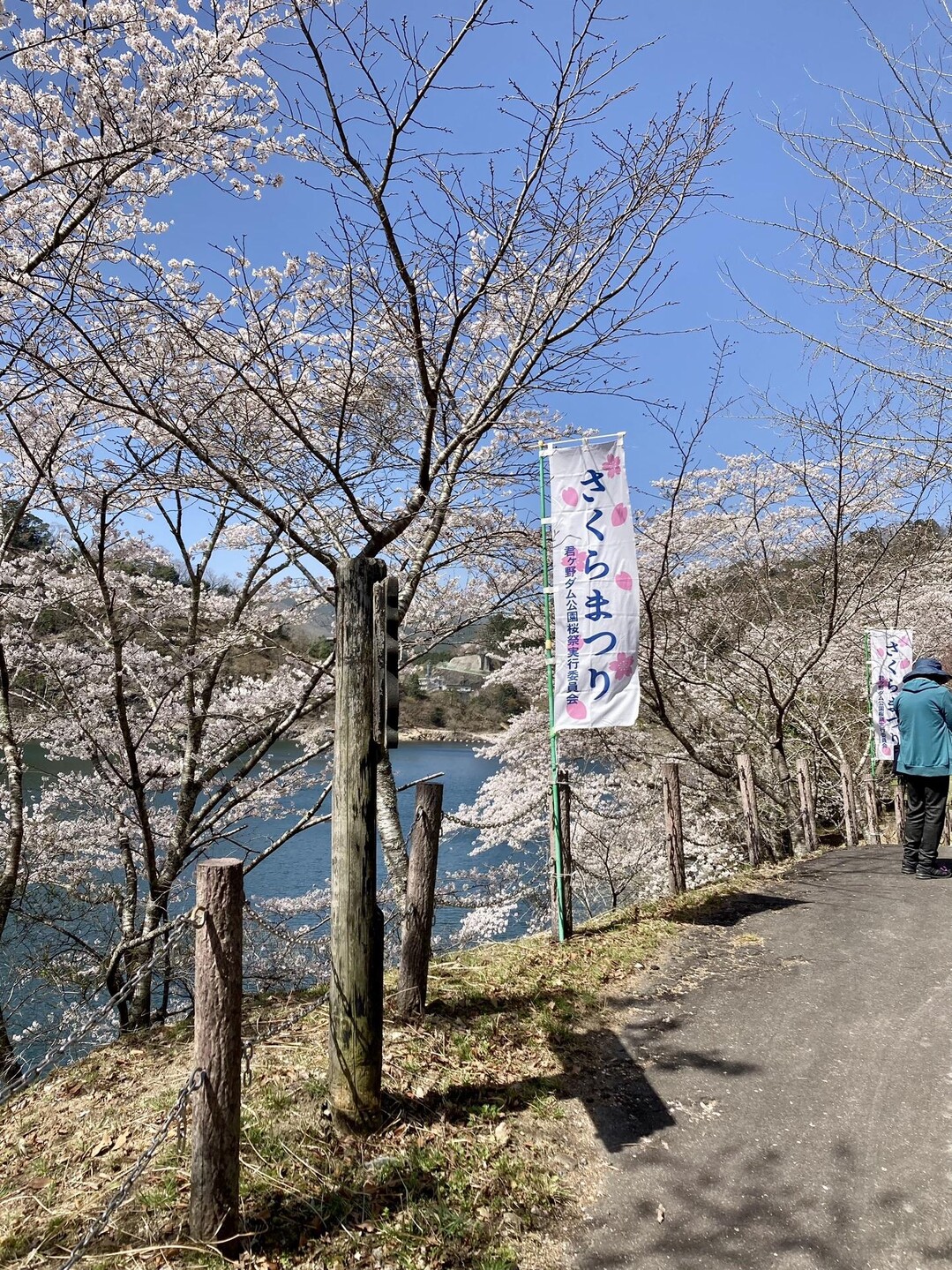 美杉の君ヶ野ダムで花見🌸 / ちゅんちゅんさんのモーメント | YAMAP / ヤマップ