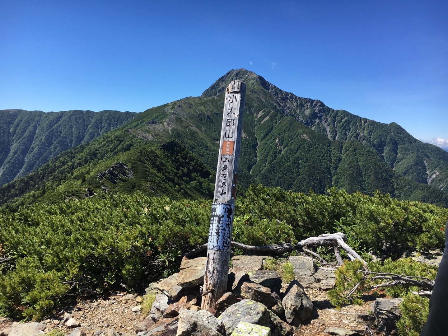 北岳山荘から小太郎山に寄って広河原へ / kitさんの仙丈ヶ岳・伊那荒倉岳の活動データ | YAMAP / ヤマップ