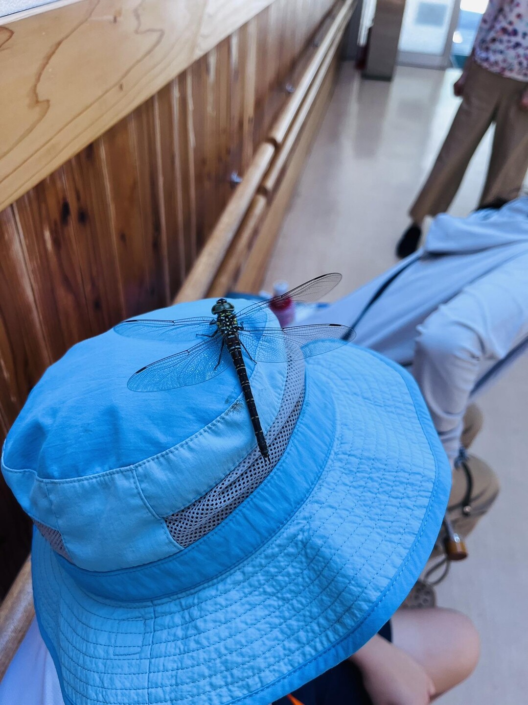 五色沼自然探勝路 物産館からの柳沼、青沼... / Mijyaさんのモーメント | YAMAP / ヤマップ